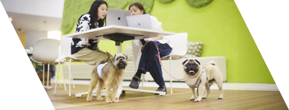 Introduces New Policies to Recognize Pets as Part of Employees’ Families | TBWA\HAKUHODO